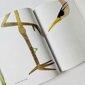 Dragonfly Books | Toys | Children Paper Book Inch By Inch Leo Lionni ...